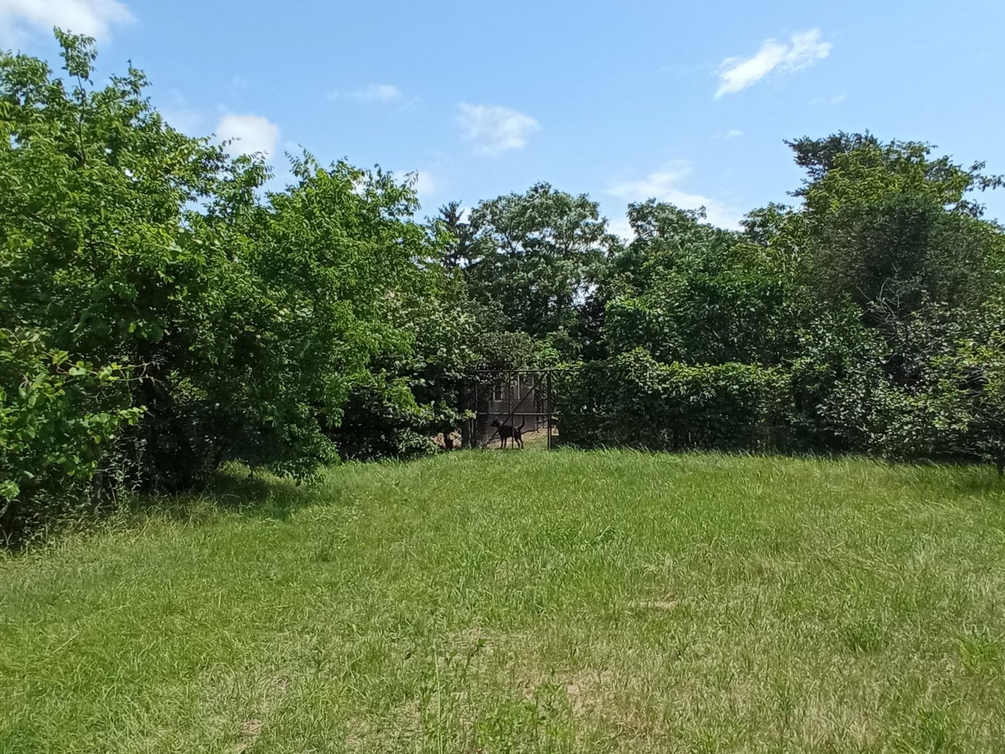 Eladó telek, Kisorosziban 49 M Ft / költözzbe.hu