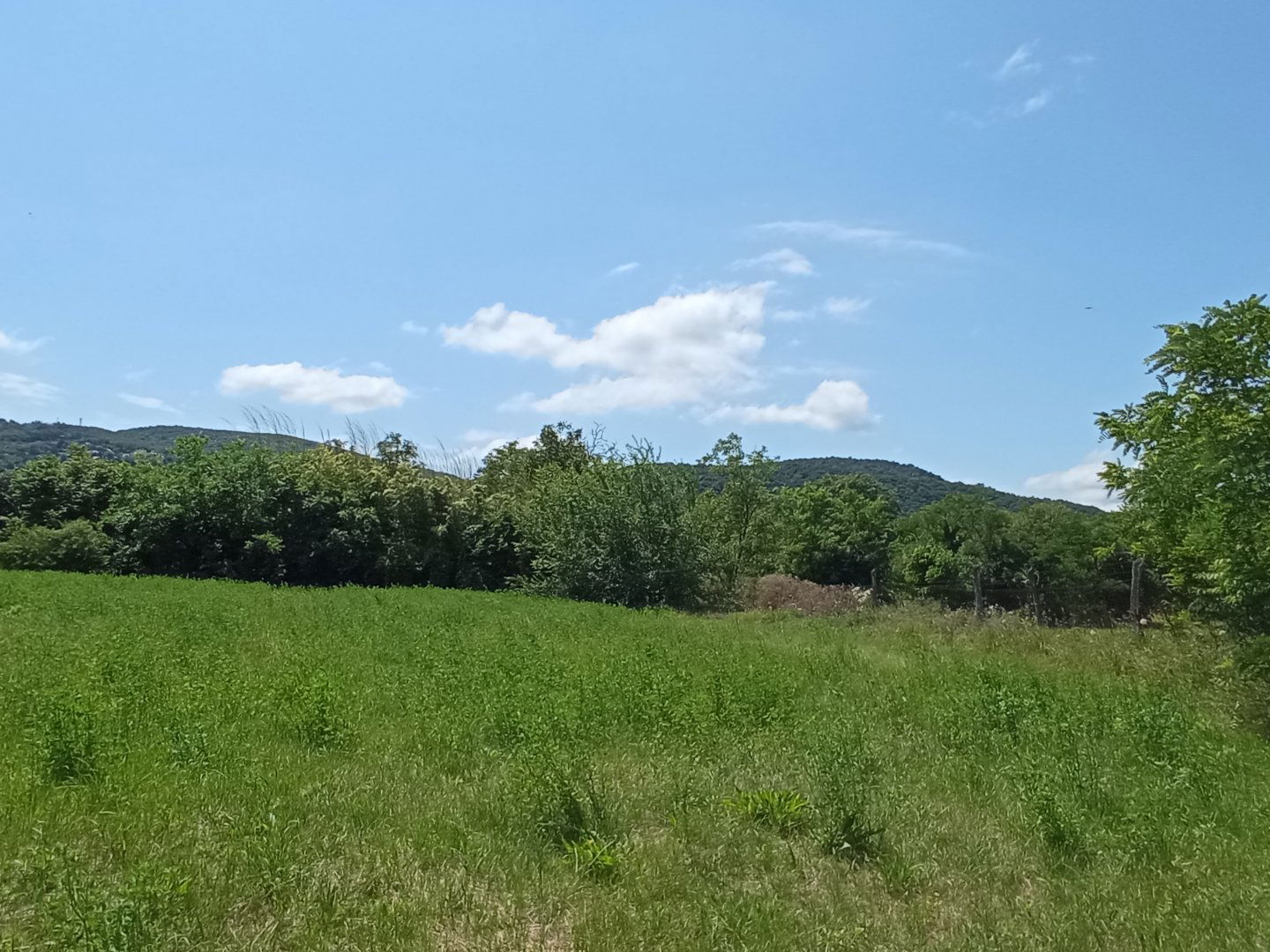 Eladó telek, Kisorosziban 49 M Ft / költözzbe.hu