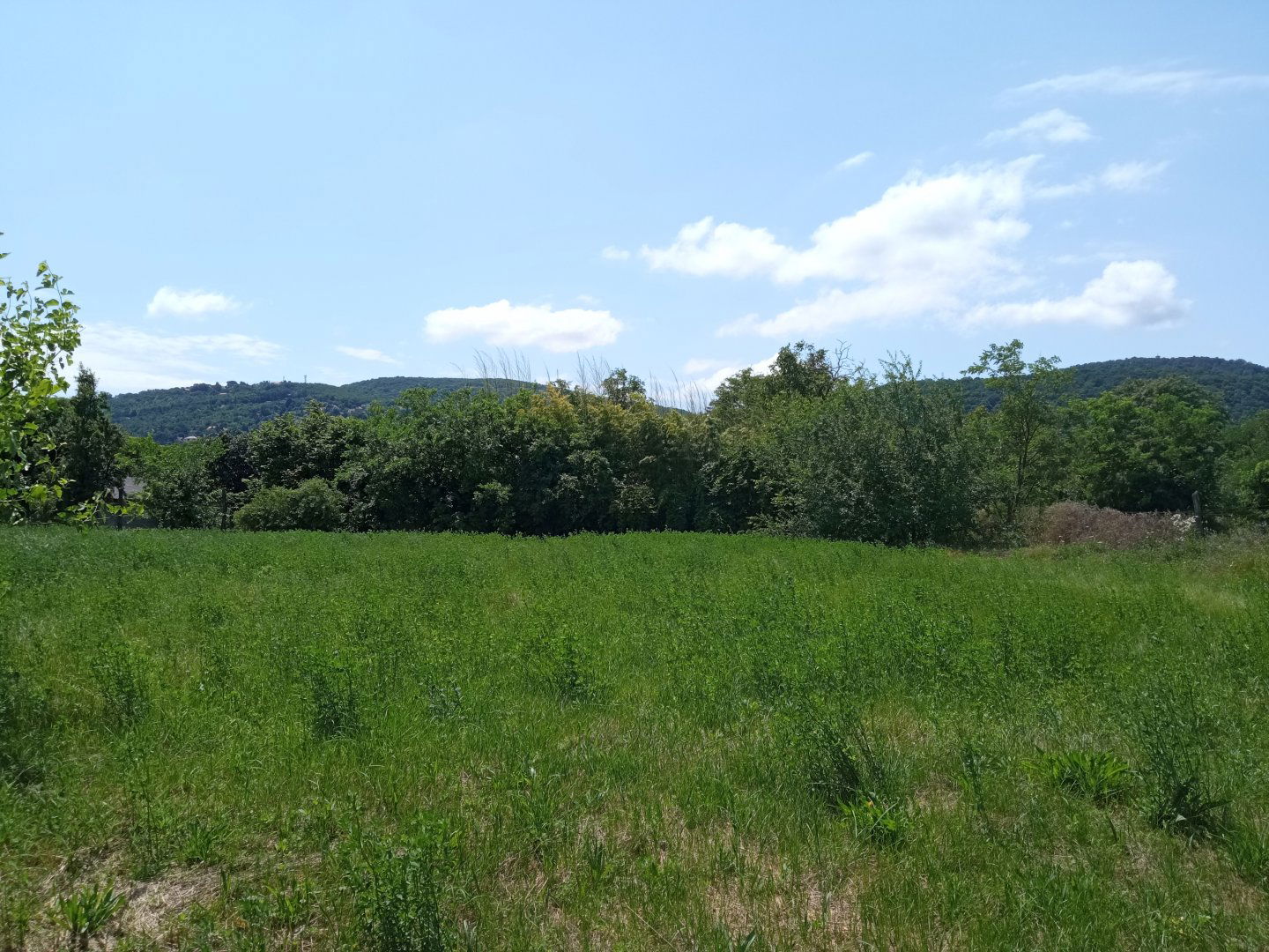 Eladó telek, Kisorosziban 49 M Ft / költözzbe.hu